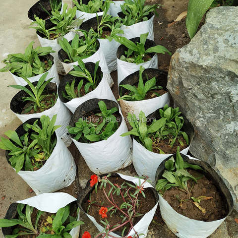 Buy Custom Plastic Potting Soil Grow Bags Plant Bags With Perforated ...
