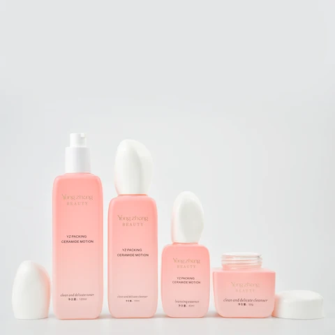 Buy Luxury Empty Pink Cosmetic Packaging Glass Bottle Set Serum Glass ...