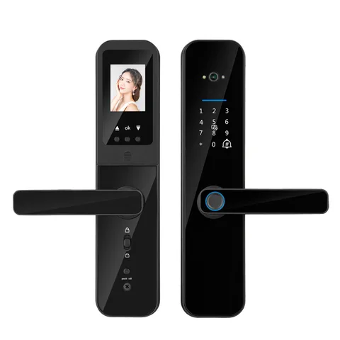 Buy Multi Point Digital Fingerprint Ttlock Tuya App Smart Door Lock ...