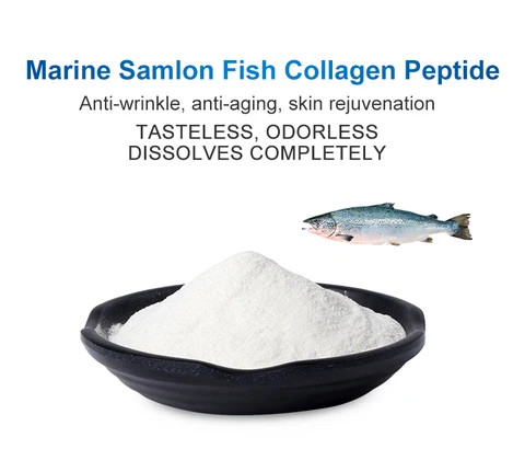 Buy Salmon Fish Extract Protein Collagen Peptide Powder Dietary Food ...