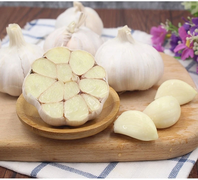Buy The Newst Crop Garlic Chinese Garlic Wholesale High Quality Fresh ...