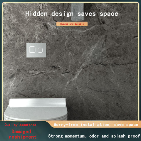 Buy Ts008g Concealed Cistern Toilet Automatic Flush Sensor Toilets ...