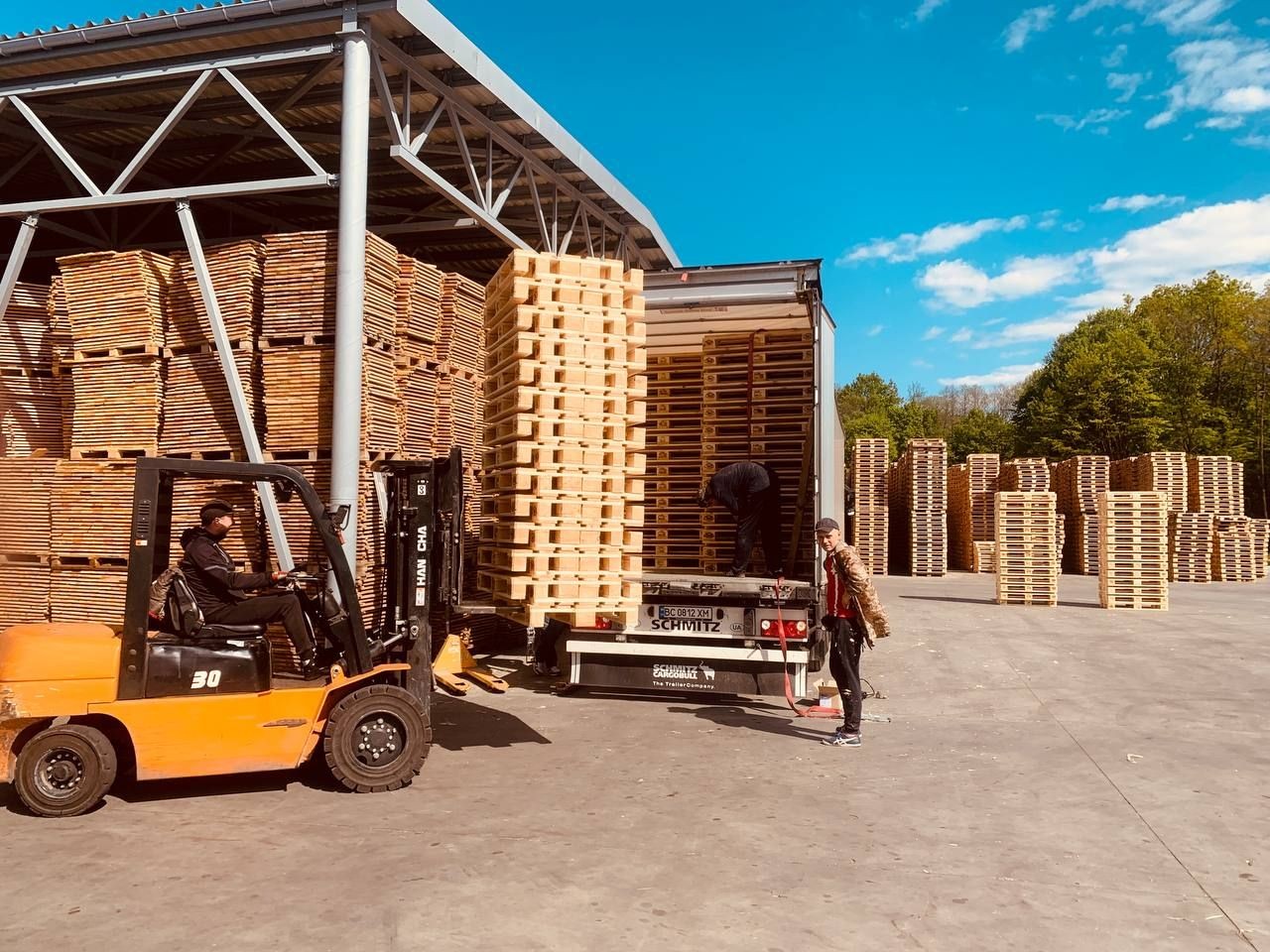 Buy Epal Euro Pallets from TED Expo, Croatia (Hrvatska) | Tradewheel.com