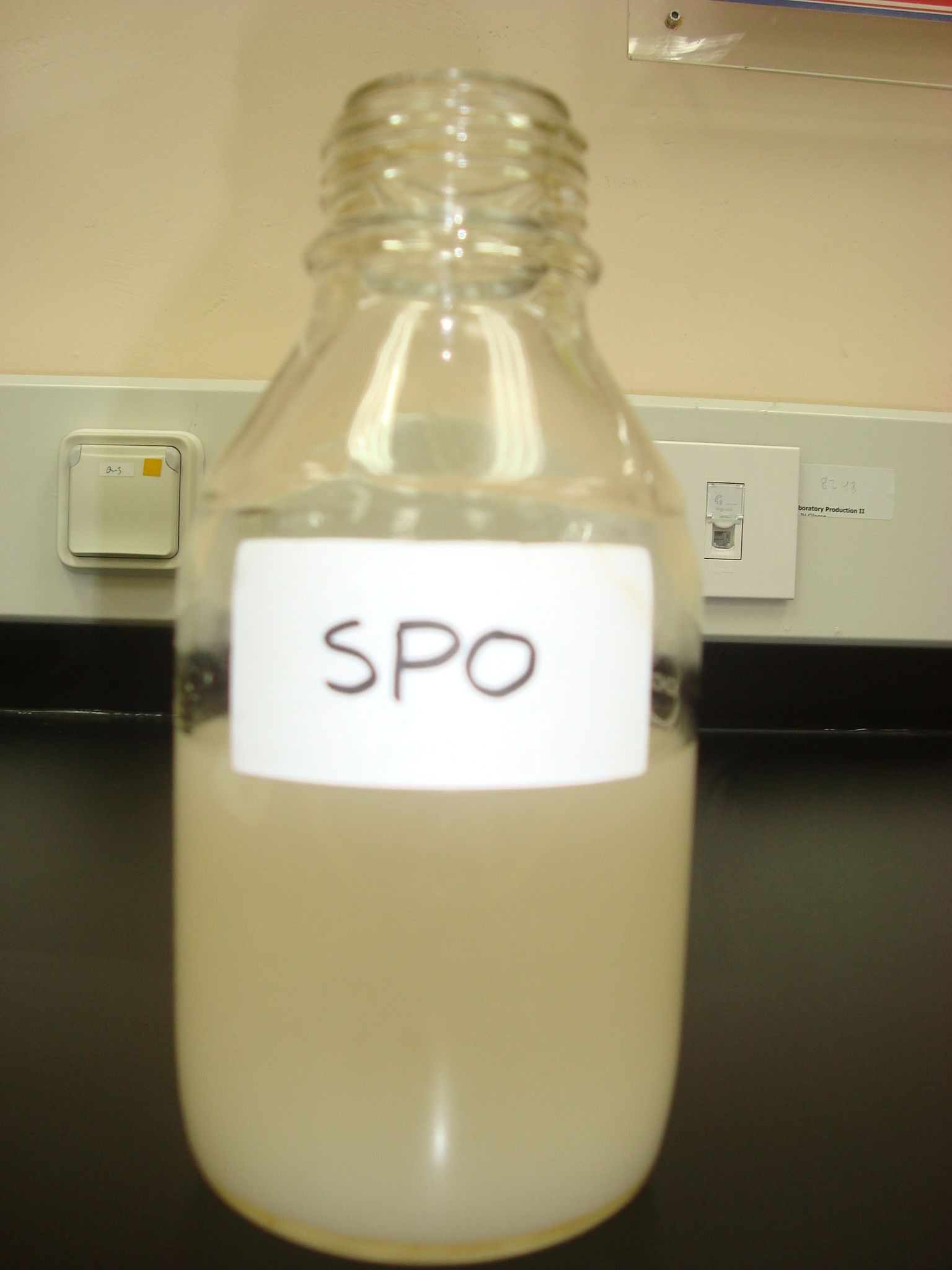 Buy Slack Wax Spo from Sembawang Marine and Trading, Indonesia ...