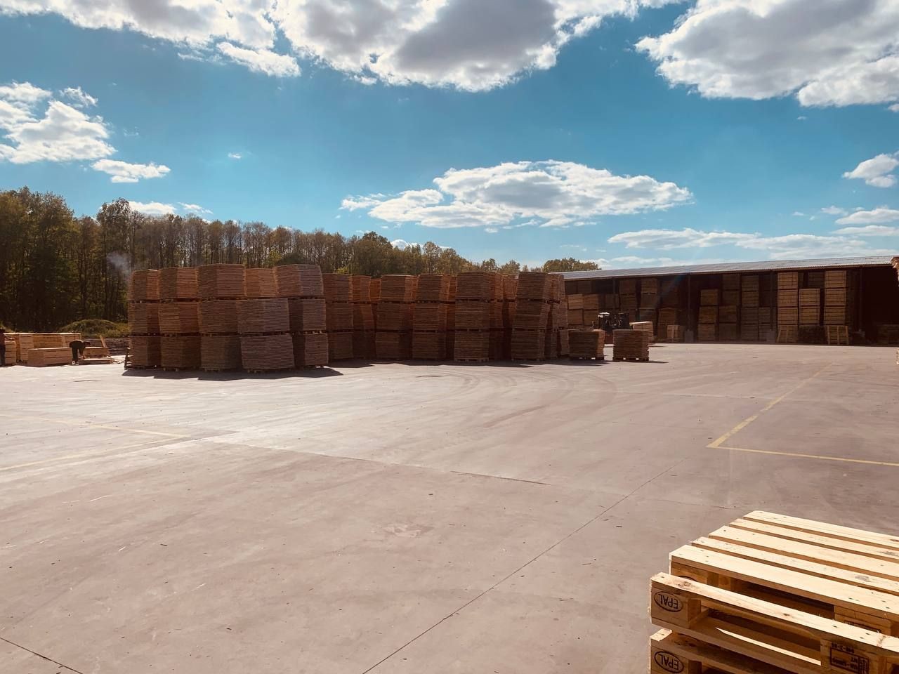 Buy Epal Euro Pallets from TED Expo, Croatia (Hrvatska) | Tradewheel.com