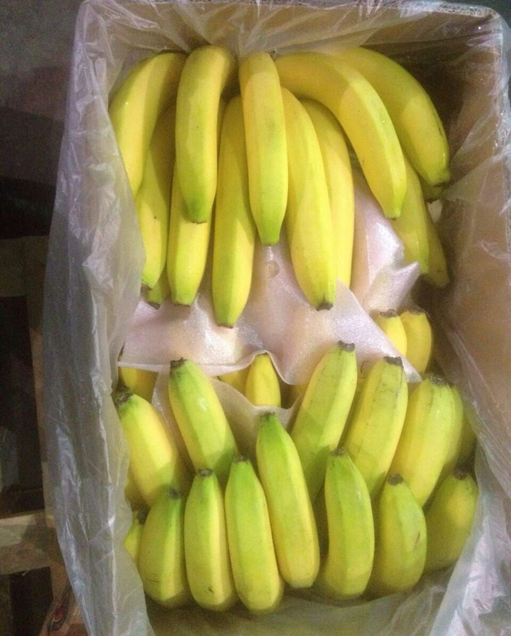 Buy Premium Quality Fresh Cavendish Banana from APROP TEU SL ...