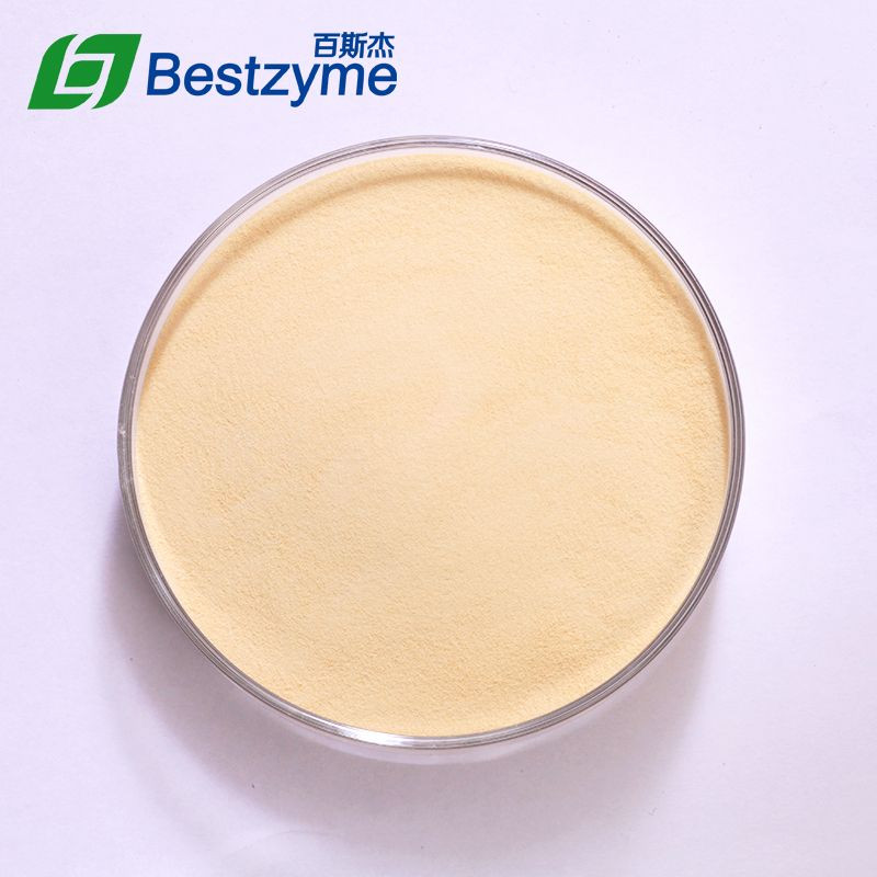 Buy Beta Glucanase from Jinan Bestzyme Bio-Engineering Co., Ltd, China ...