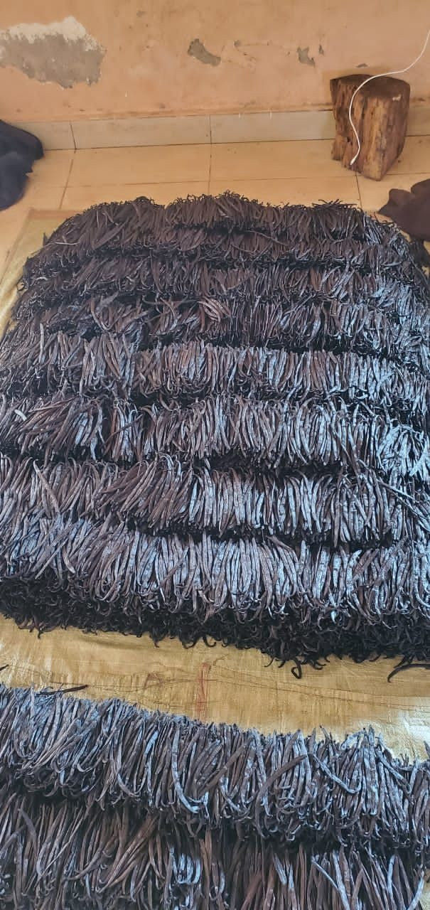 Buy Vanilla from Ibamba company, France | Tradewheel.com