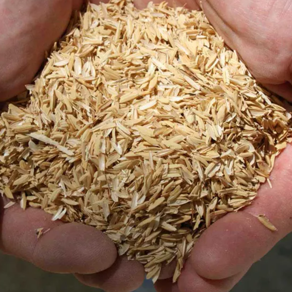 Buy Rice Husk Good Price Agricultural Waste Using For Fossil Fuels ...