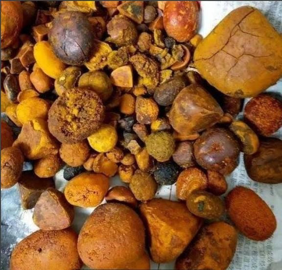 Buy High Quality Gallstones from ng agro limited, Kenya | Tradewheel.com