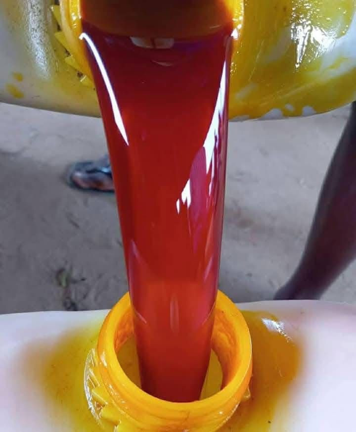 Buy Crude Palm Oil from BELGOCAM SARL, Cameroon | Tradewheel.com