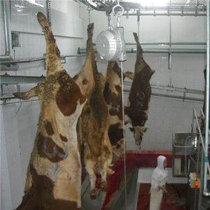 Buy Halal Cattle Slaughterhouse With Beef Butcher Abattoir Meat Process ...