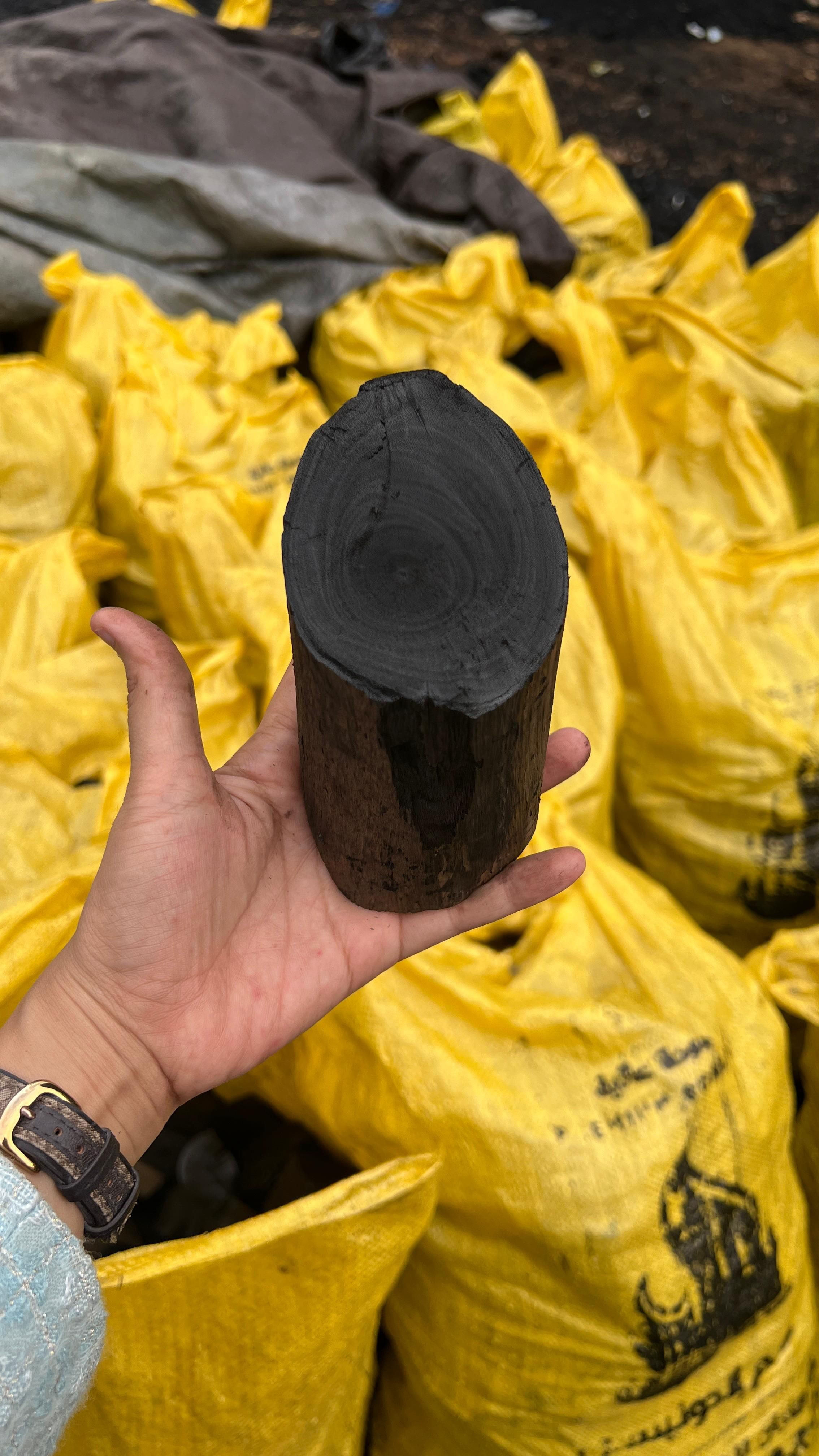 Buy Halaban from PT GMP MULTI AGRO, Indonesia | Tradewheel.com
