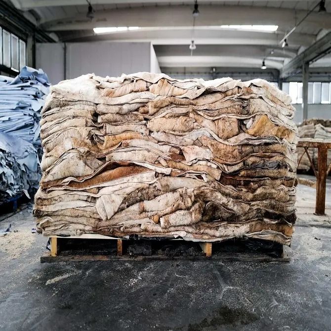 Buy Wet Salted Cow Hides from Pennly Product Company Limited, Kenya ...