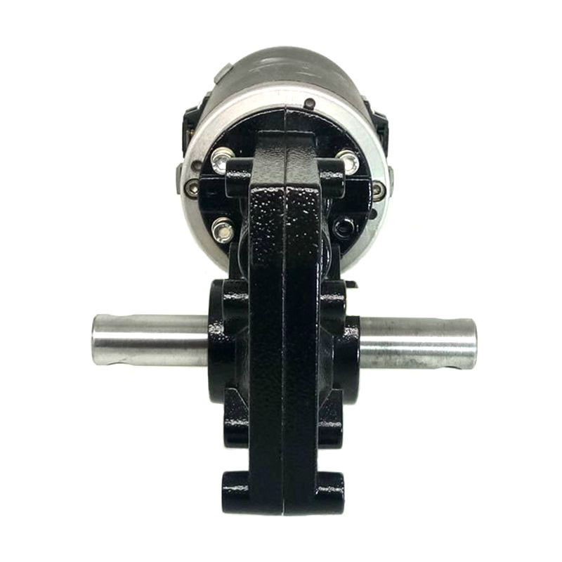 Buy 24v Dc Motor 150w 200w 200rpm Dc Motor Geared 12v 24v Dc Worm Gear ...