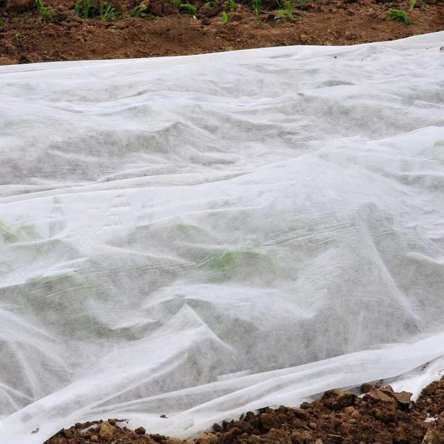 Buy Agriculture Nonwoven Fabric Uv Stabilized Crop Cover Fabric Frost ...