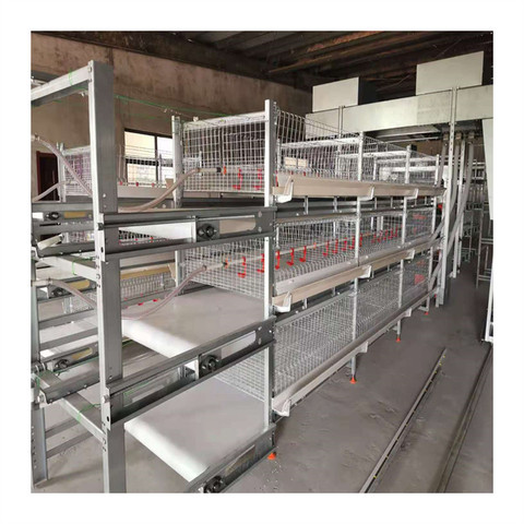 Buy Animal Husbandry Equipment Fully Automated H Type Poultry Broiler ...