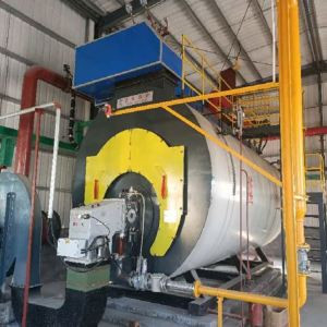 Buy Biogas Geyser Instant Hot Tankless Instantaneous Water Heater Combi ...