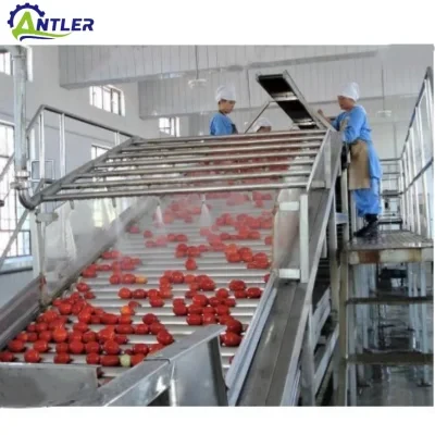 Buy Complete Ketchup Processing Line Strawberry Puree Making Machine ...