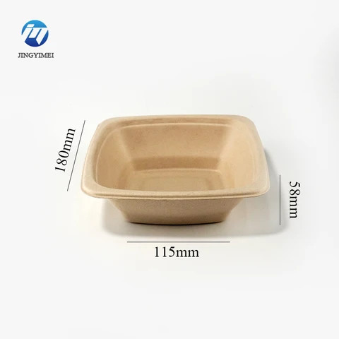 Buy Disposable Biodegradable Sugarcane Food Containers Pulp Sugarcane ...