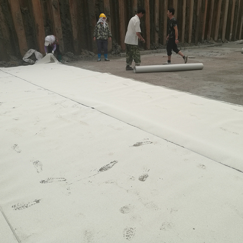 Buy Hdpe/pvc/eva Waterproofing Membrane Geomembrane Waterproofing Roofs ...