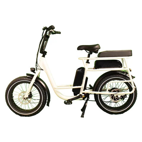 Buy Raiderrover-40f 20" 48velectric Fast Utility Ebike Electricfat Tire ...