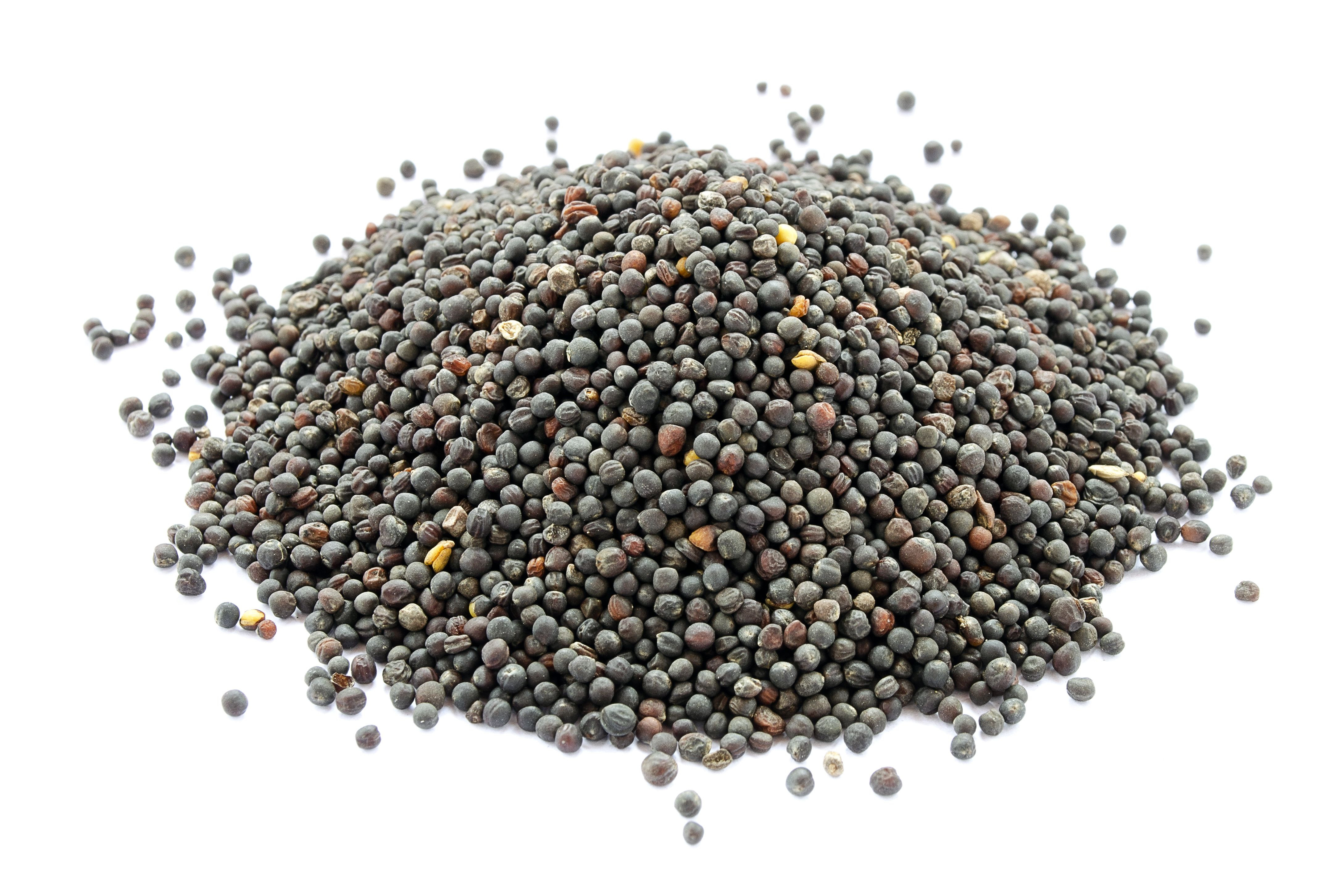 Buy Premium Rapeseeds – Purity And Excellence In Every Seed from Zenith ...