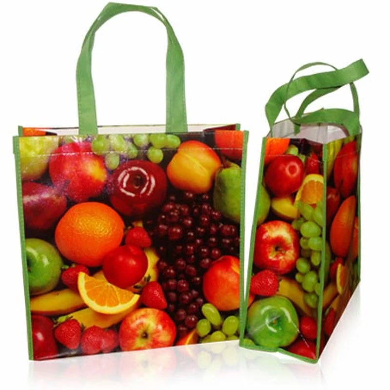 Buy Reusable Grocery Shopping Bags from HAPLAST JSC, Vietnam ...