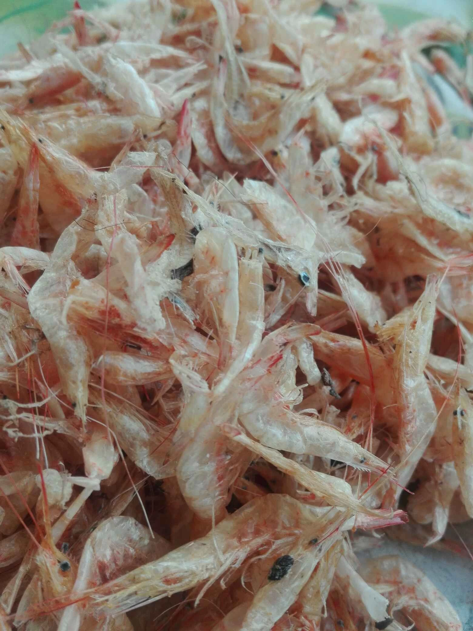 Buy Crayfish from La_Viva Foods, Nigeria | Tradewheel.com