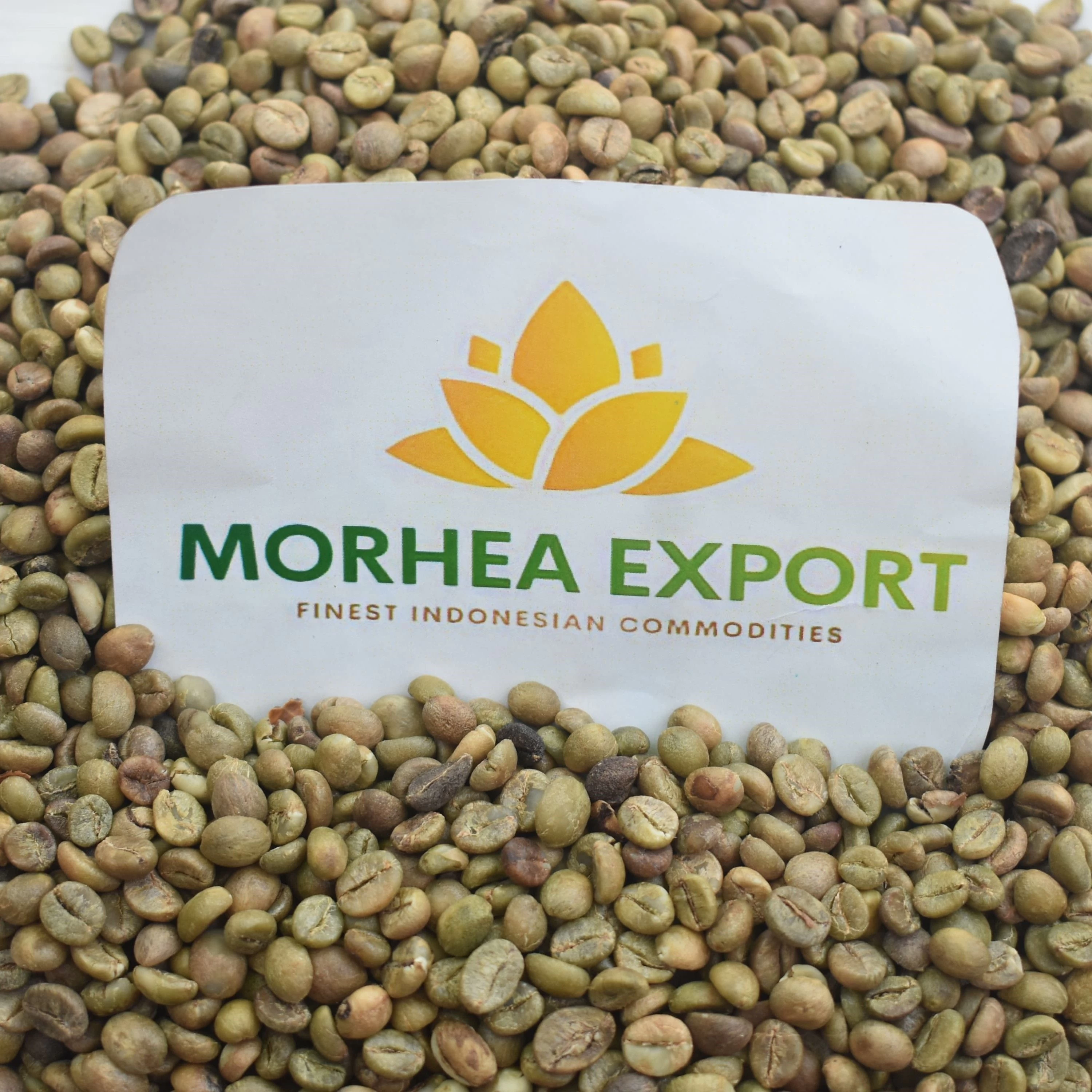 Buy Robusta Coffee Grade 4 from Morhea Export Nusantara, Indonesia ...