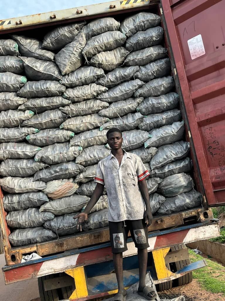 Buy Coconut Shell Charcoal from Gifex Agro Tanzania Limited, Tanzania | Tradewheel.com