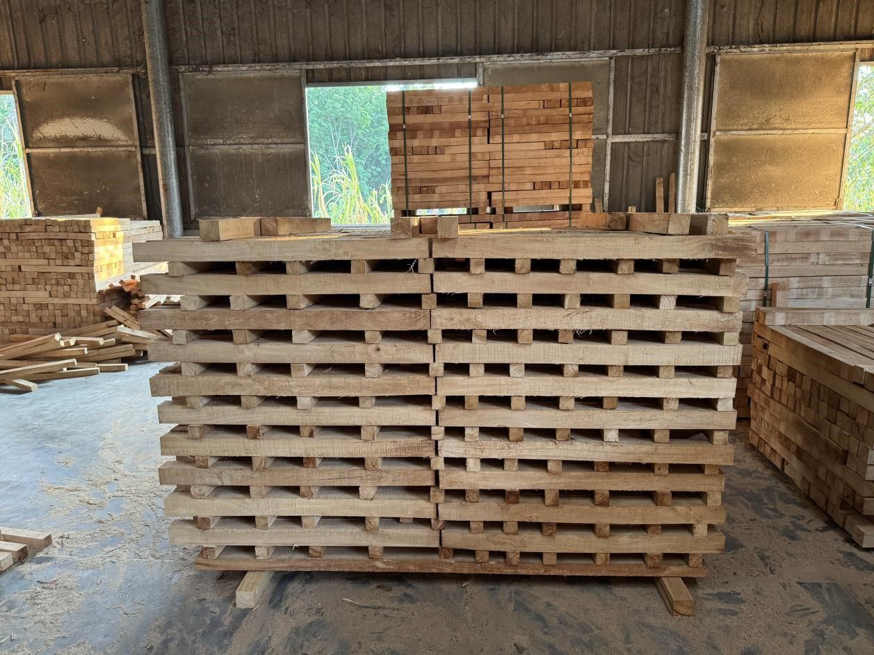 Buy Wooden Timber For Construction, White Wood Sawn Timber from Baisha ...