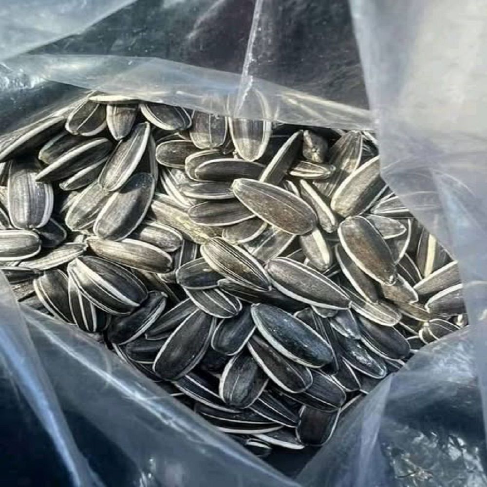 Buy Newcrop China Origin Organic 361/363/601 In Bulk Sunflower Seed For ...