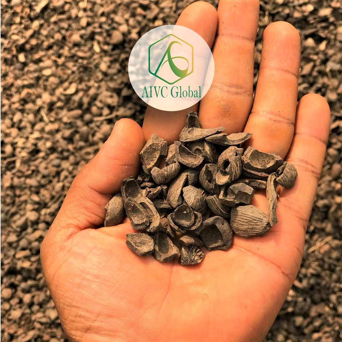 Buy Palm Kernel Shells from AIVC Global-Food & Exports, Nigeria ...