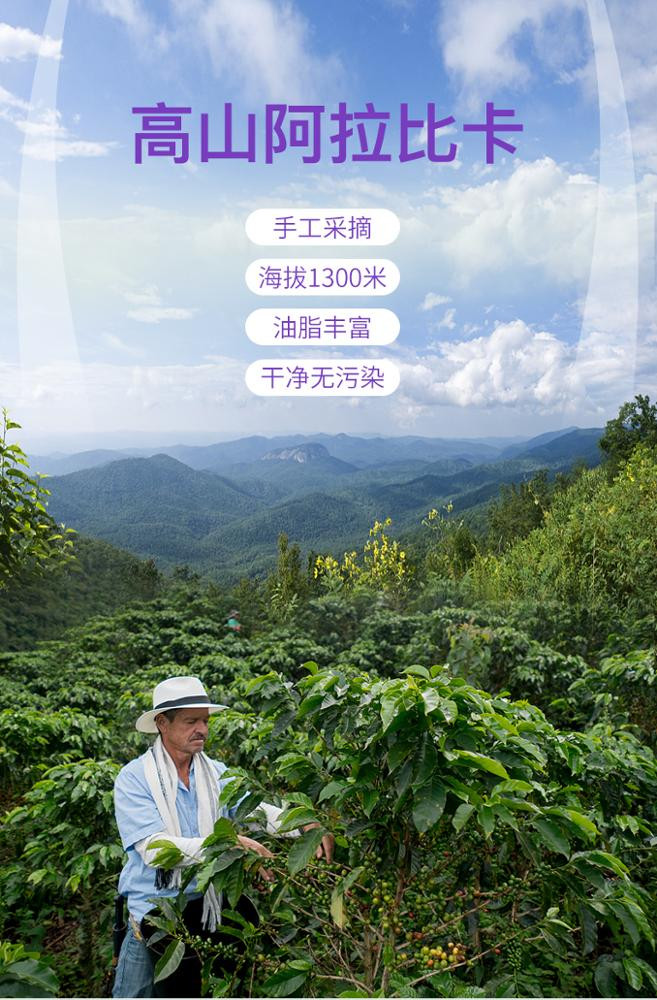 Buy Cephei Xylooligosaccharide Prebiotics Coordinating Intestines And ...