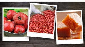 Buy Chinese Haw Slip Healthy Snacks For Sale Supplier from Xian Xiyu ...