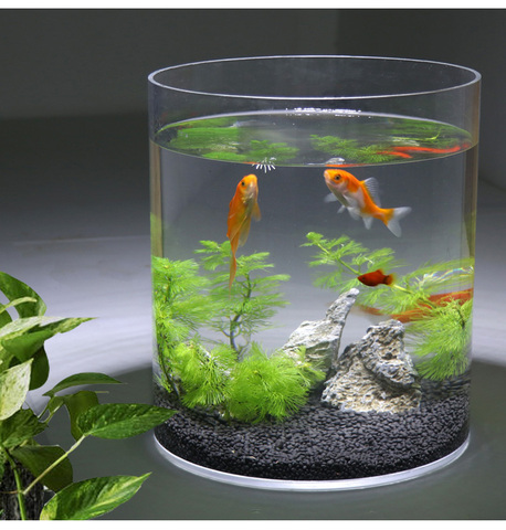 Buy Creative Acrylic Cylinder Fish Tank Living Room Desktop Small ...