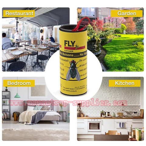 Buy Disposable Sticky Glue Ribbon Roll Insect Hanging Fly Trap Catcher ...