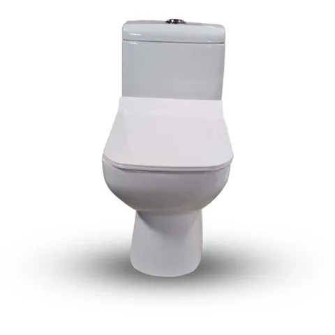 Buy Luxury Modern Design One Piece Toilet Set Wc Recto-103 White ...