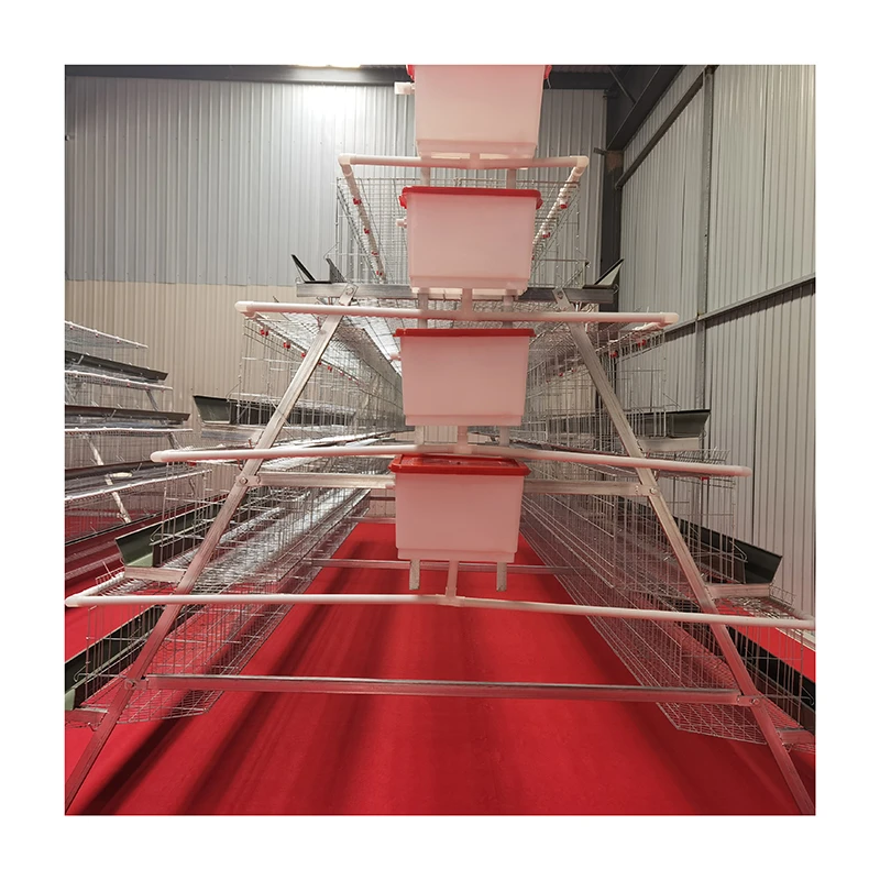 Buy Poultry Control Shed Automatic Chicken Layer Battery Cage For Egg ...