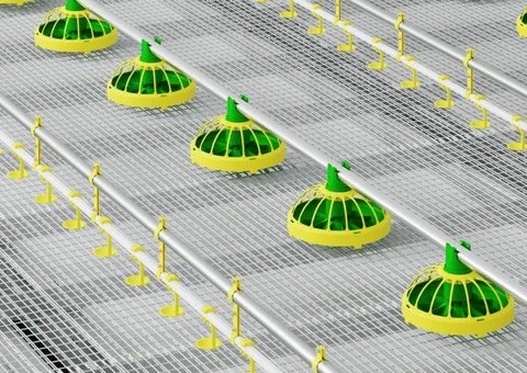 Buy Poultry Helper Automatic Feeders And Drinkers Line System For ...