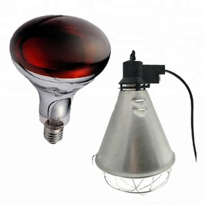 Buy Professional Ir Light 250w R125 Infrared Heater Lamp For Poultry ...