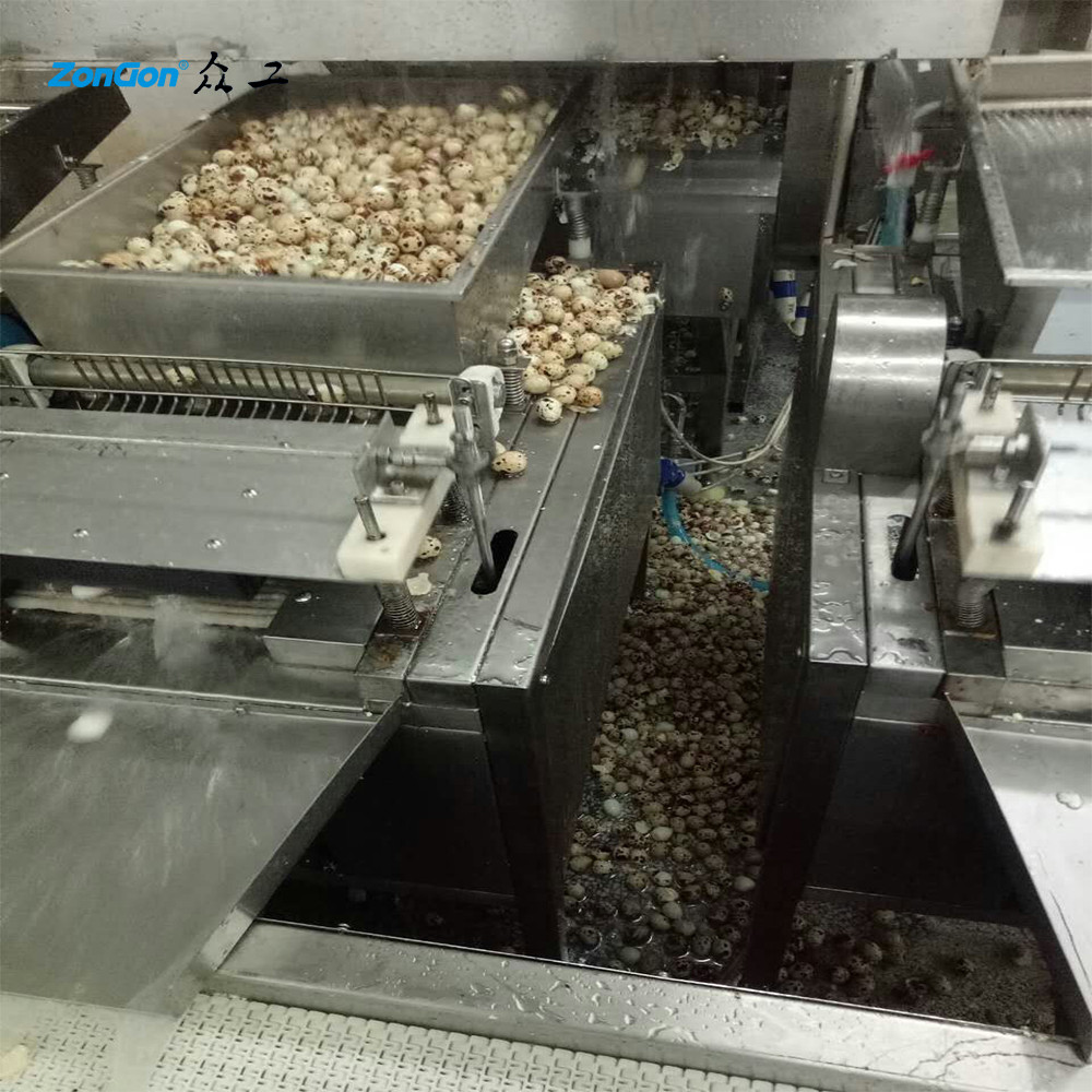 Buy Sus Stainless Steel Automatic Quail Egg Production Line from ...