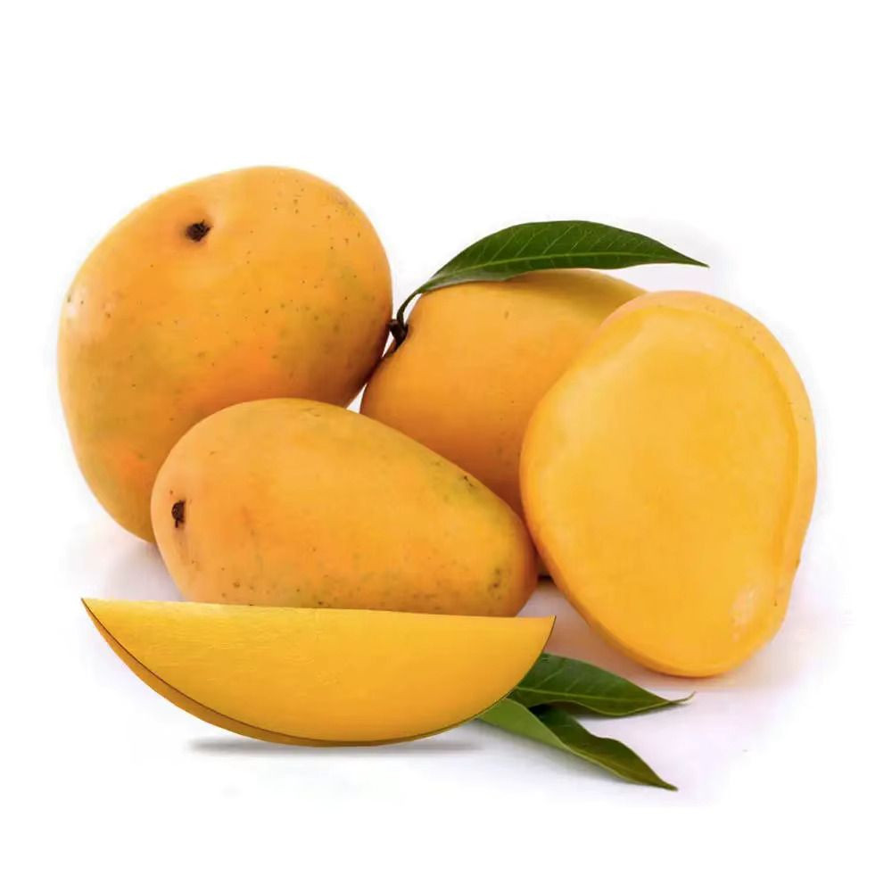 Buy Fresh Mangoes In Bulk – Export-grade Quality, Global Shipping from ...