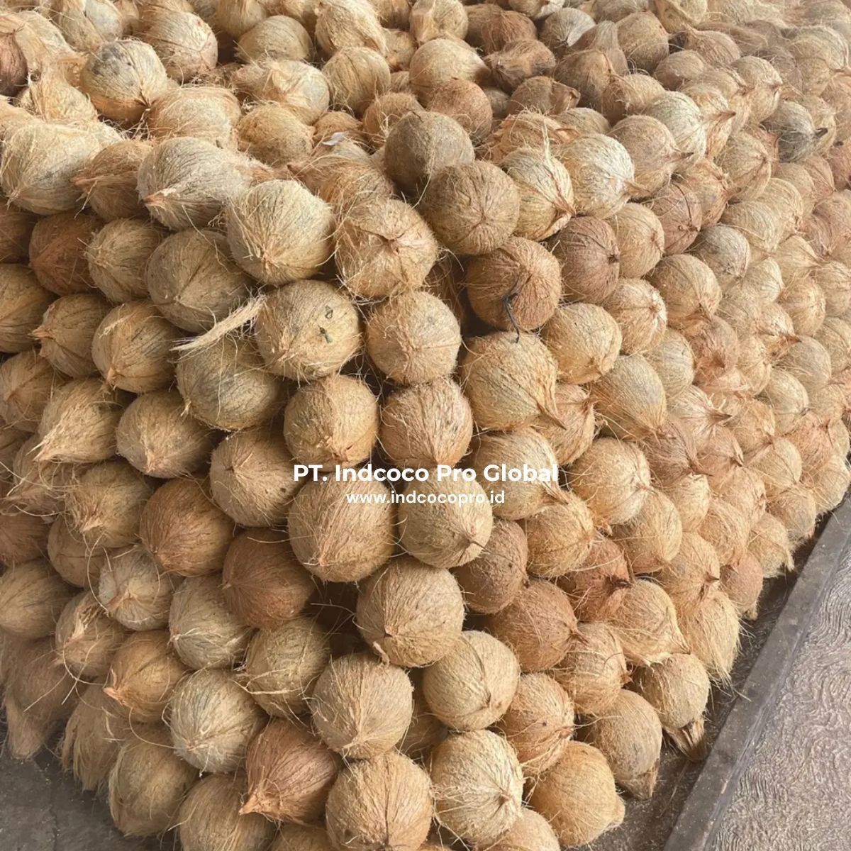 Buy Selling Semi Husked Coconut from PT. Indcoco Pro Global, Indonesia ...