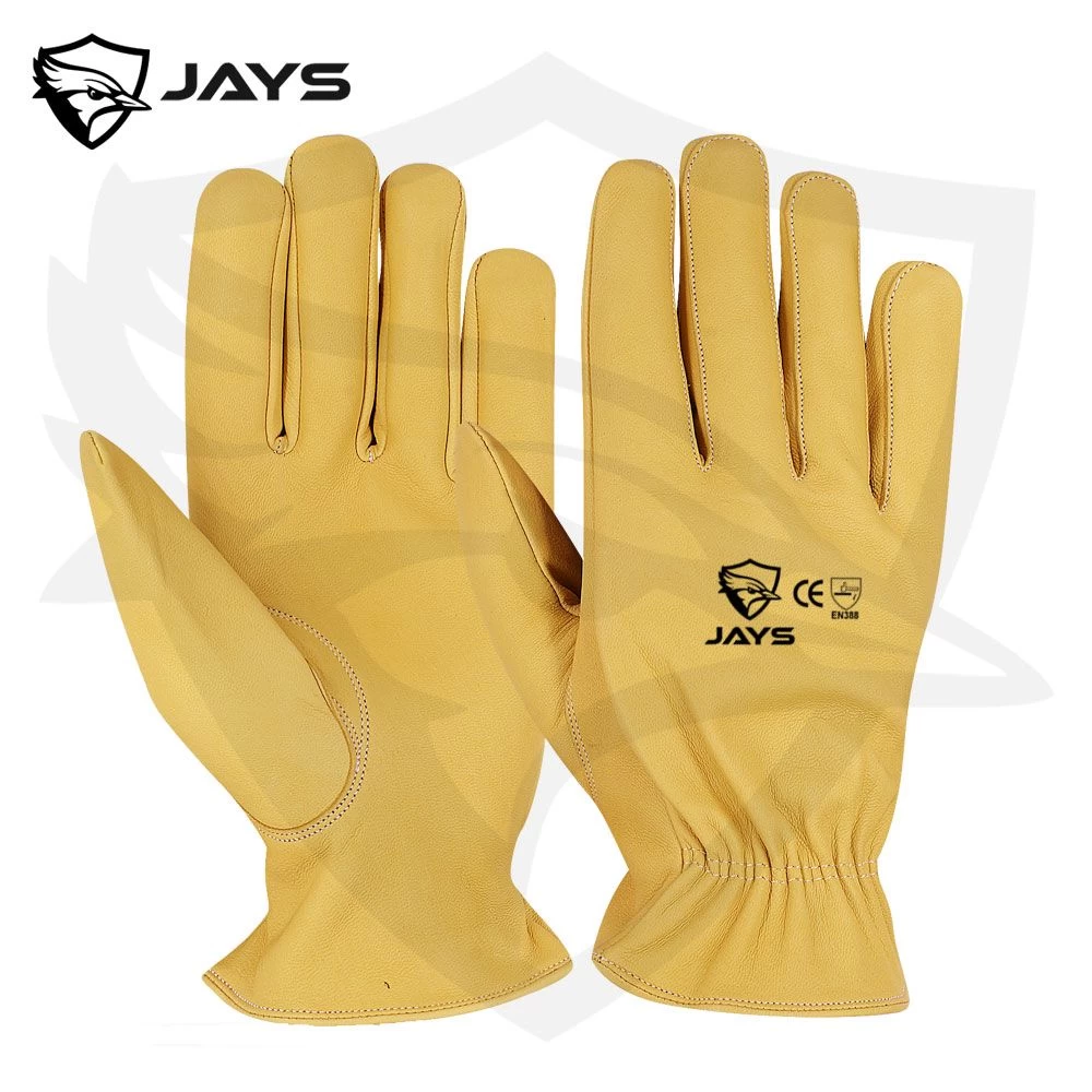 Buy Jw-02-201 from Jays Wears, Pakistan | Tradewheel.com