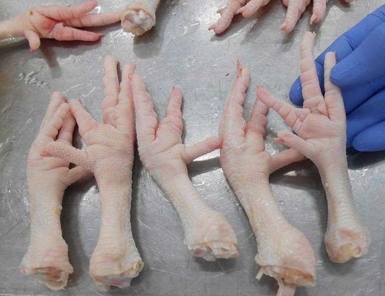 Buy Frozen Chicken Feet - Grade Aa from VOF Plantendienst llc ...