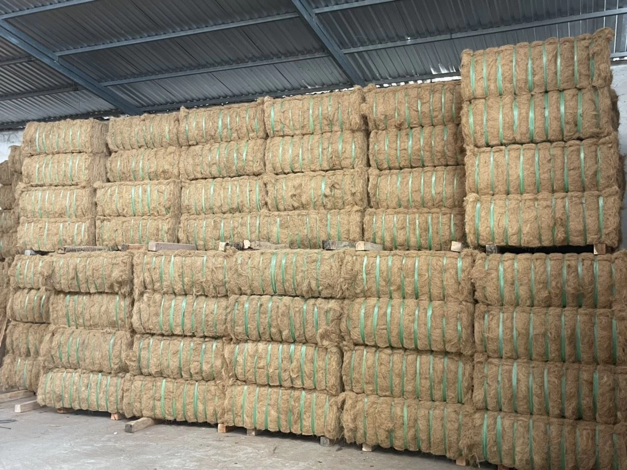 Buy Coir Fiber from Organic Coconut Limited Company, Vietnam ...