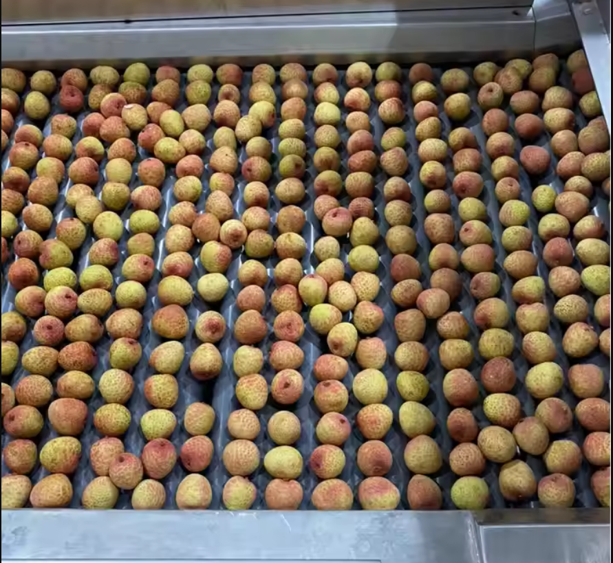 Buy Frozen Lychee Bulk from RIZHAO Jin Gu Yuan Agricultural Development ...