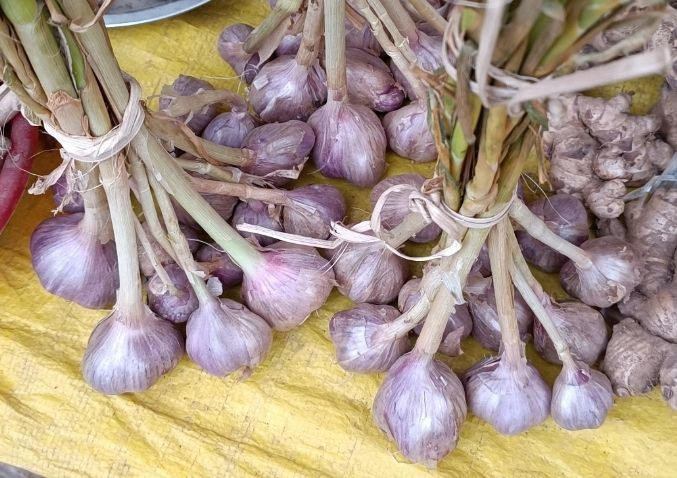 Buy Naga Wild Garlic from Naga farmers group, India | Tradewheel.com